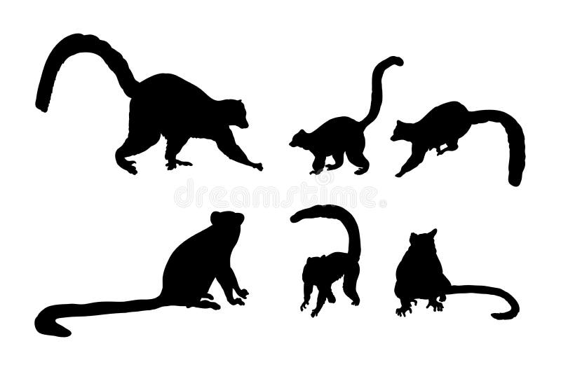 Primate Silhouettes Stock Illustrations – 96 Primate Silhouettes Stock ...