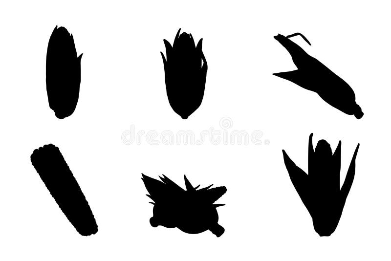 Set of Silhouettes of Corn Vector Design Stock Vector - Illustration of ...
