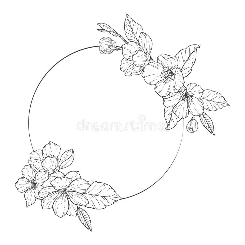 Floral Line Art Frame, Sakura Flower Outline Illustration Set. Hand ...