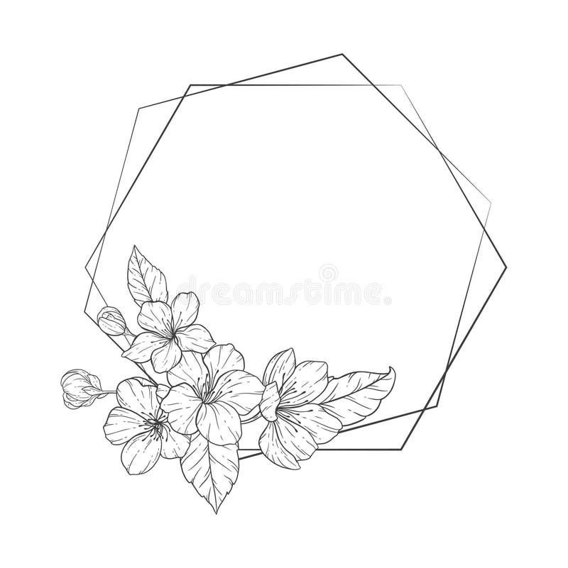 Floral Line Art, Sakura Flower Outline Illustration Set. Hand Painted ...