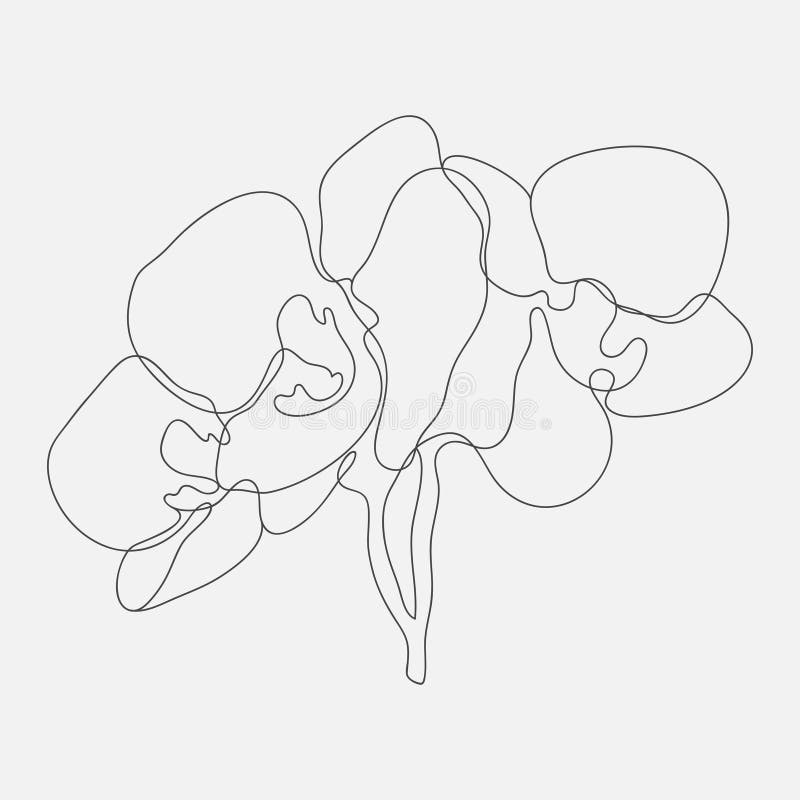 Orchid Flower Mono-line Drawing. Modern Hand-drawn Line-art Vector ...