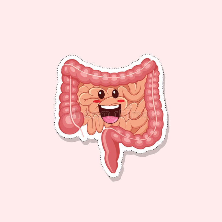 Cute Intestines Funny Human Internal Organs Sticker Vector Illustration ...