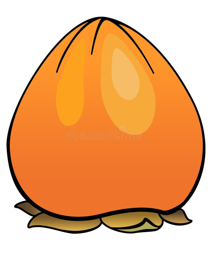Persimmon, Fruit with Dried Flower and Stalk - Vector Full Color ...