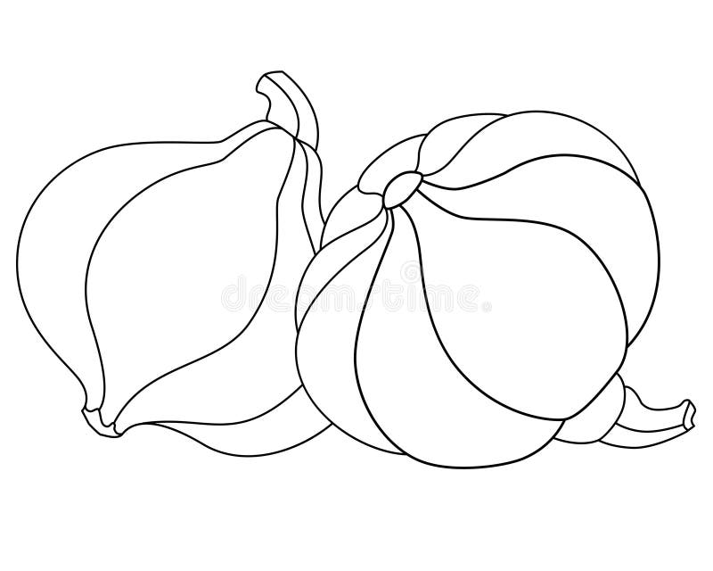 Two Pumpkins with Cuttings - Vector Linear Picture for Coloring ...
