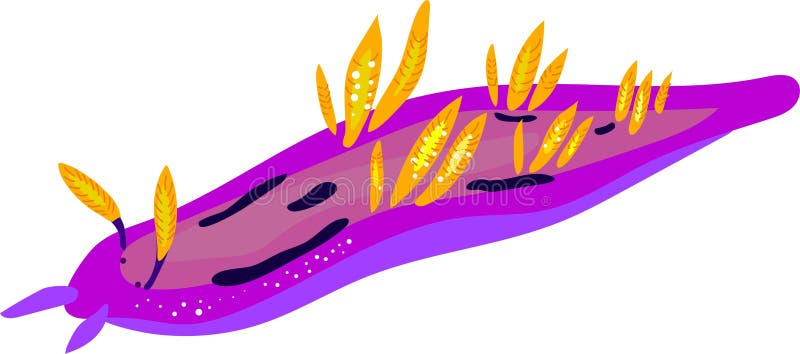 Sea Slug Stock Illustrations – 714 Sea Slug Stock Illustrations ...