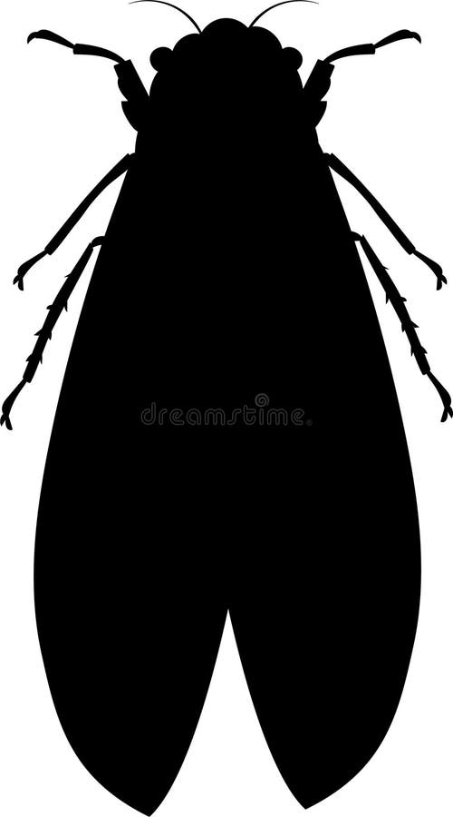 Cicada Vector Silhouette Black Stock Vector - Illustration of insect ...