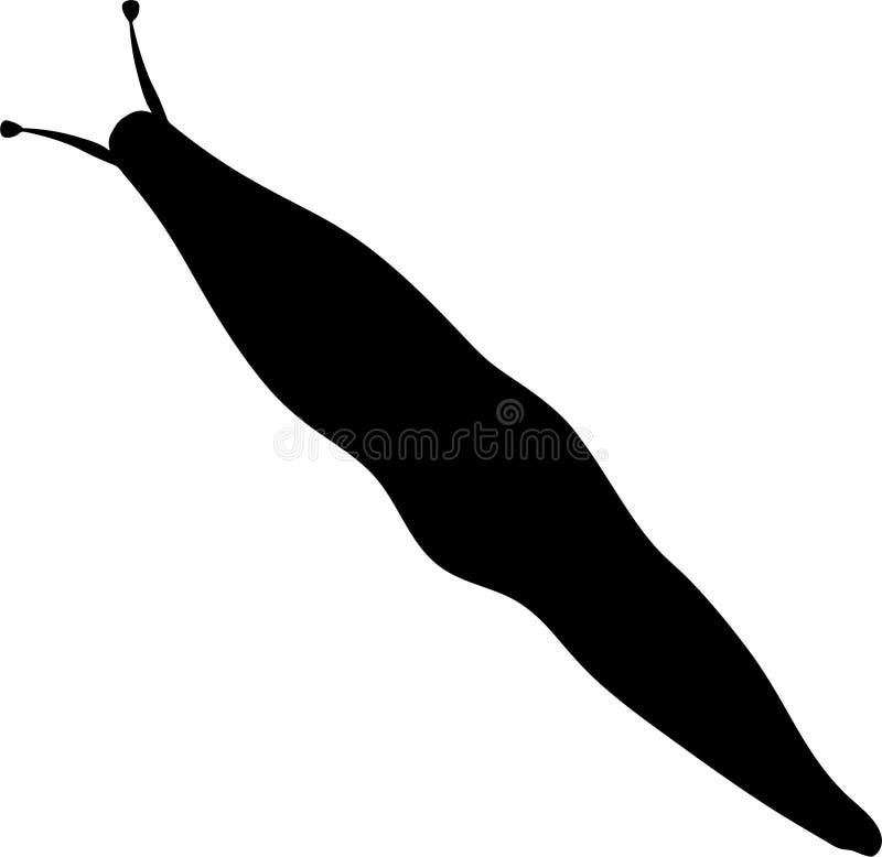 Slug Top Vector Silhouette Black Stock Vector - Illustration of symbol ...