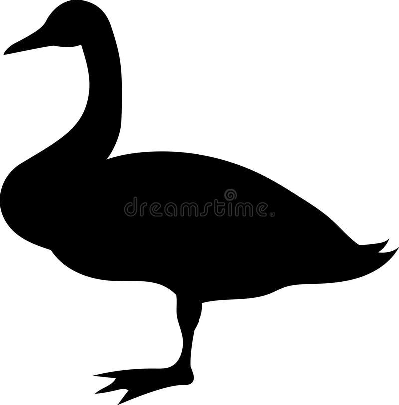 Swan Stands Vector Silhouette Black Stock Vector - Illustration of ...