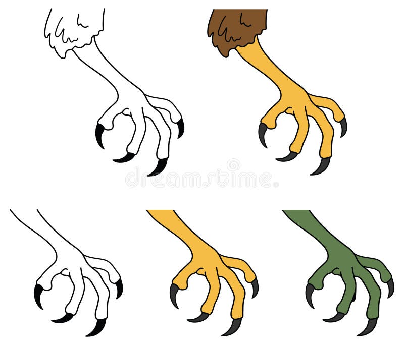 Talon or Claw Clipart Set - Outline and Color Stock Vector ...