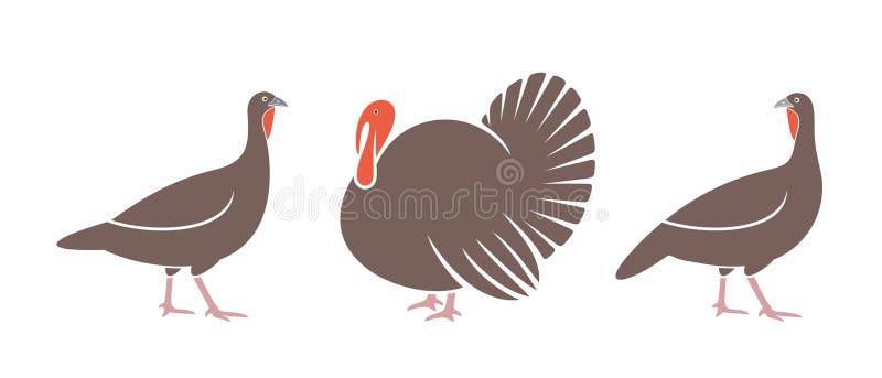 Turkey Logo. Isolated Turkey on White Background Stock Vector ...