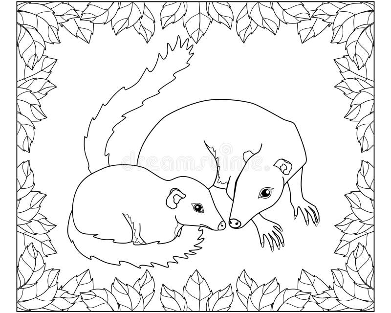 Tupaia - Small Primate - Vector Full Color Picture.Asian Small Animal ...