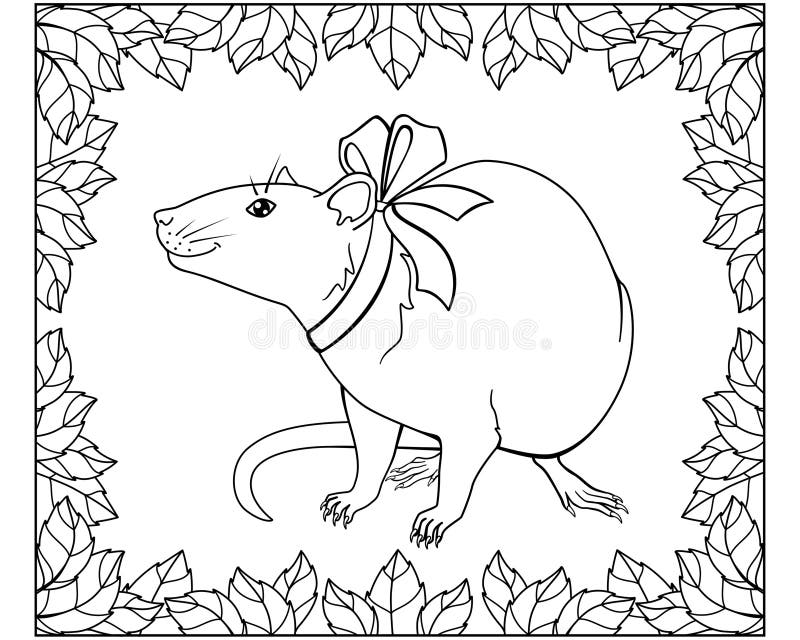 Fancy Rat Coloring Stock Illustrations – 4 Fancy Rat Coloring Stock ...