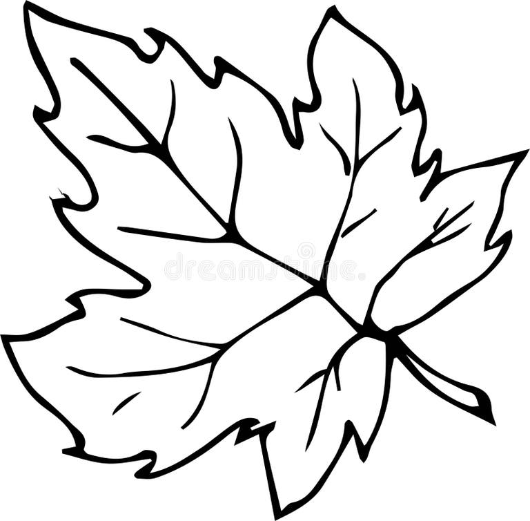 A Maple Leaf Made in a Graph Stock Illustration - Illustration of shape ...