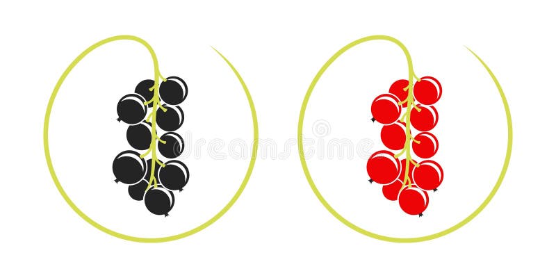 Red Currant Logo. Black Currant Stock Vector - Illustration of berry ...