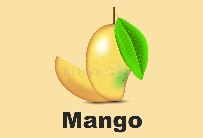 Yellow Mango with Mango Leaves Vector Illustration. Stock Vector ...