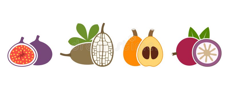 Loquat Logo Stock Illustrations – 127 Loquat Logo Stock Illustrations ...