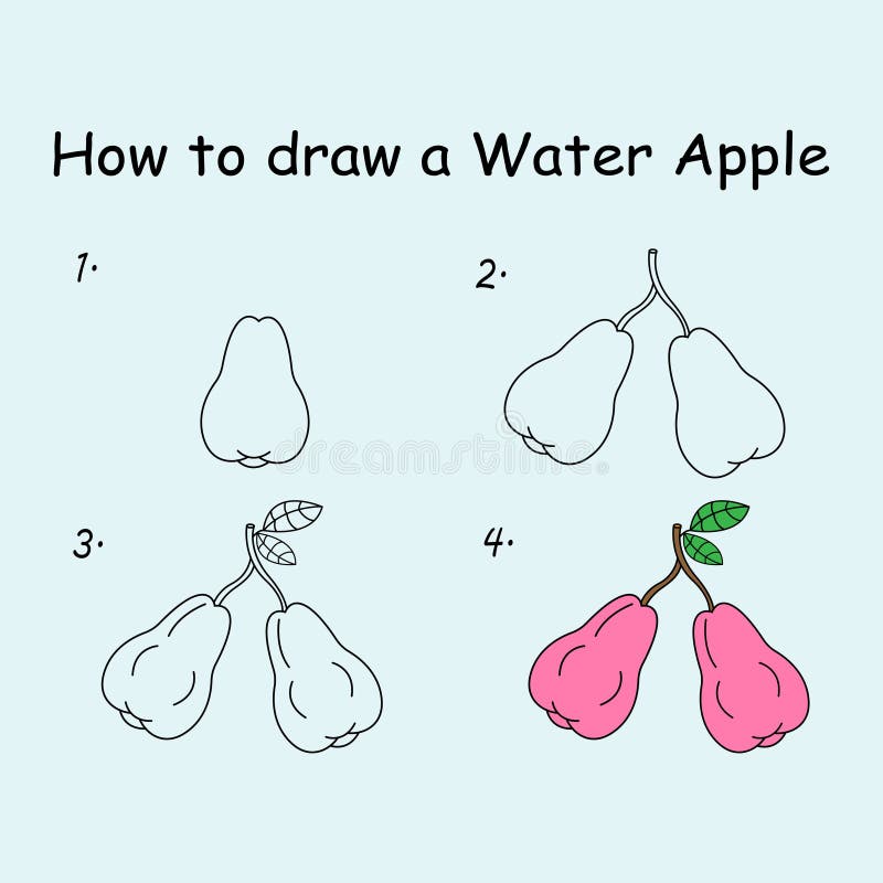 Step by Step To Draw a Water Apple. Drawing Tutorial a Water Apple ...