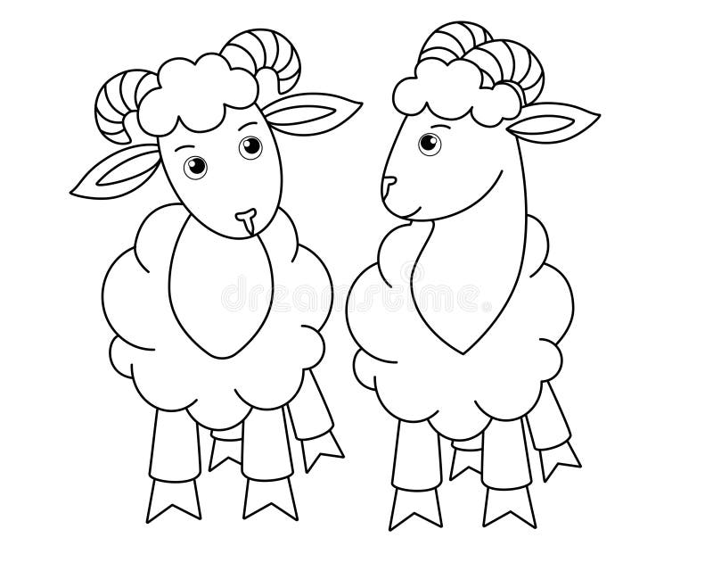 Two Sheep Drawing