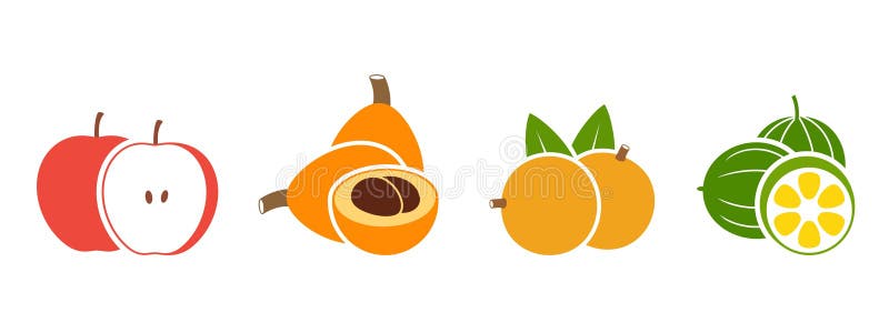 Loquat Logo Stock Illustrations – 124 Loquat Logo Stock Illustrations ...