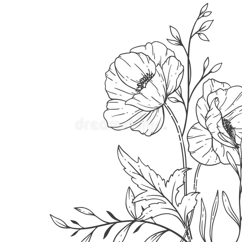 Poppy Flower Line Art, Fine Line Poppy Bouquets Hand Drawn Outline ...