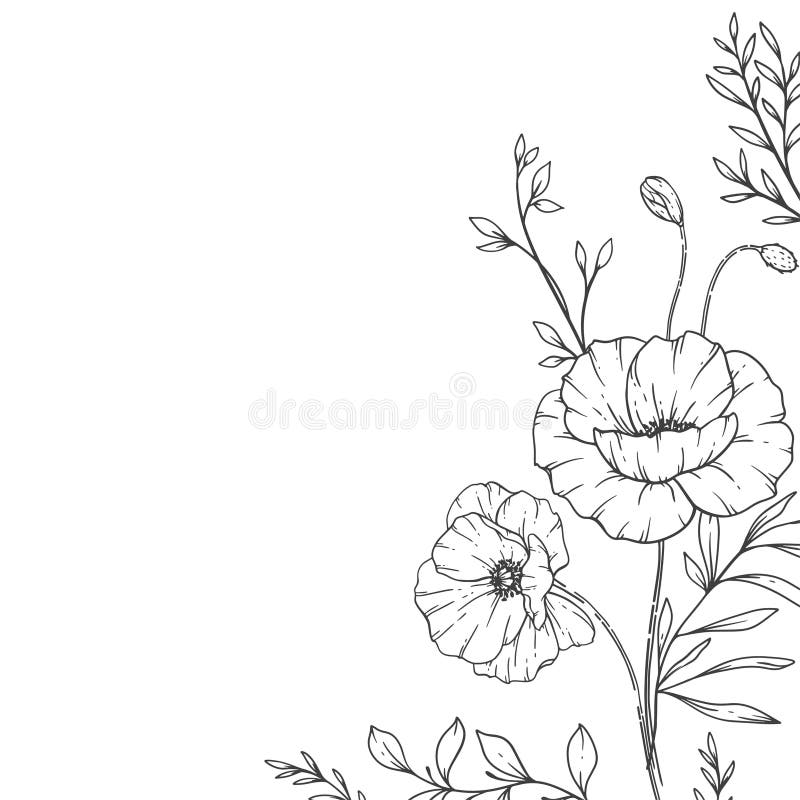 Poppy Flower Line Art, Fine Line Poppy Bouquets Hand Drawn Outline ...