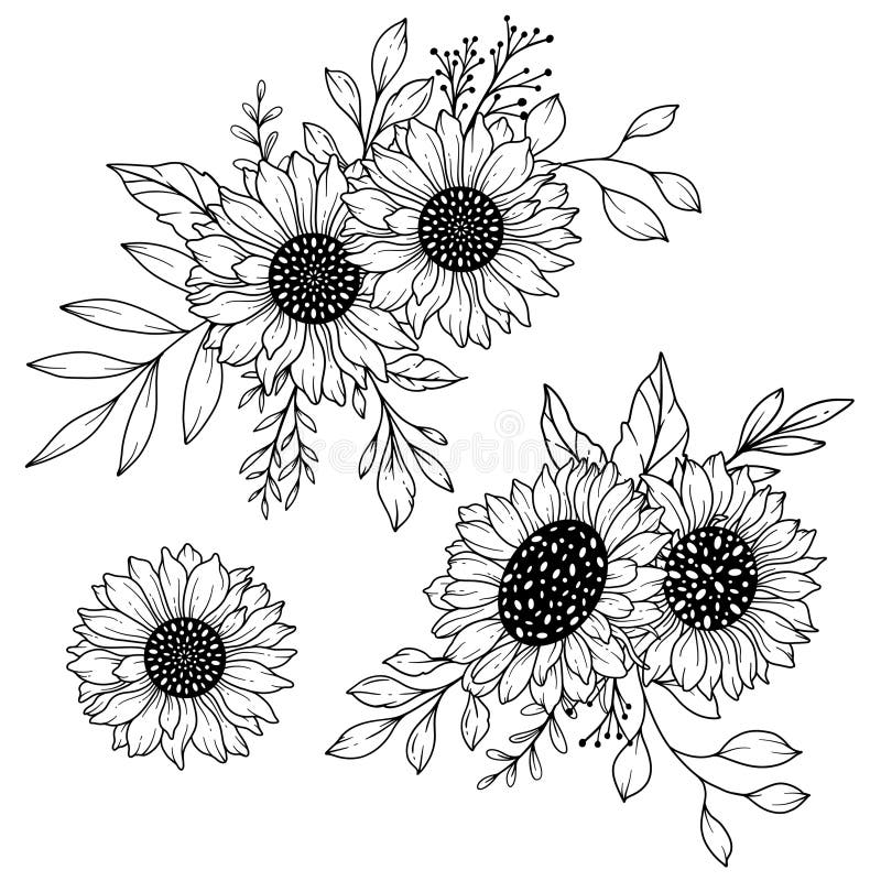 Sunflowers Line Art, Fine Line Sunflower Bouquets Hand Drawn ...