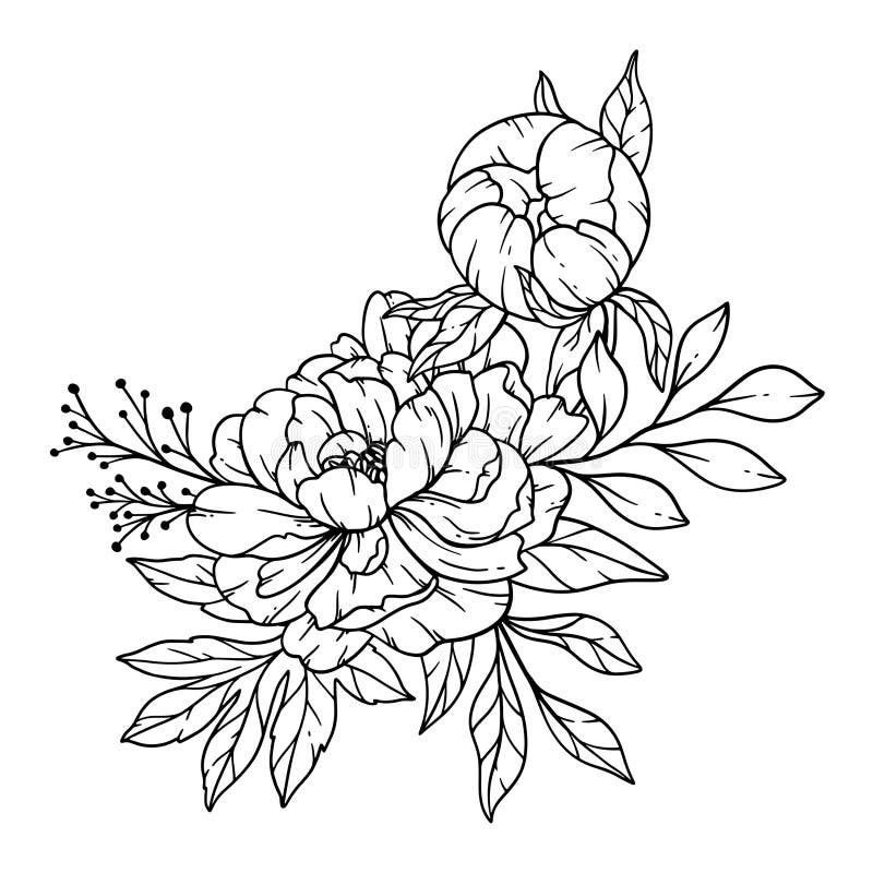 Peony Frame Line Art, Outline Floral Frame Hand Drawn Illustration ...