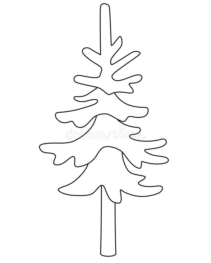 Small Spruce, Coniferous Evergreen Tree Christmas Tree Stock Vector ...