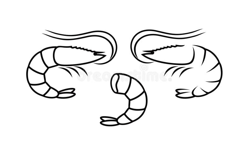 Prawns Outline Stock Illustrations – 242 Prawns Outline Stock ...