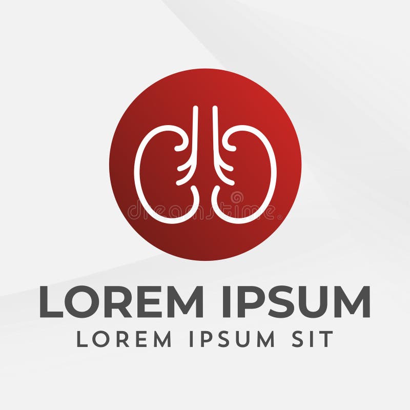 Kidney Urology Care Logo Designs Vector Human Kidneys Nephrology Icon ...