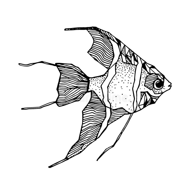 Angelfish Fish in a Graphic Style Stock Vector - Illustration of ...