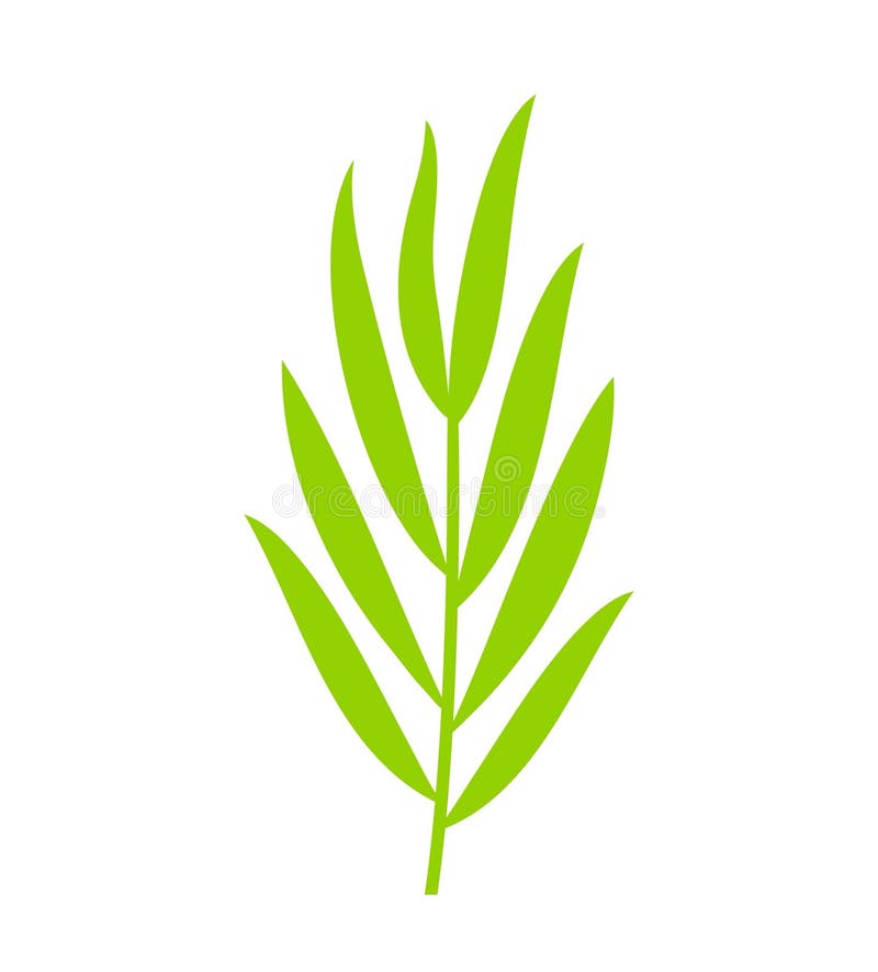 Tarragon Logo. Isolated Tarragon on White Background Stock Vector ...