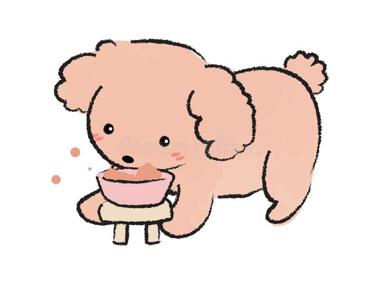 Toy Poodle Eating Dog Food 2 Stock Vector - Illustration of : 317857392