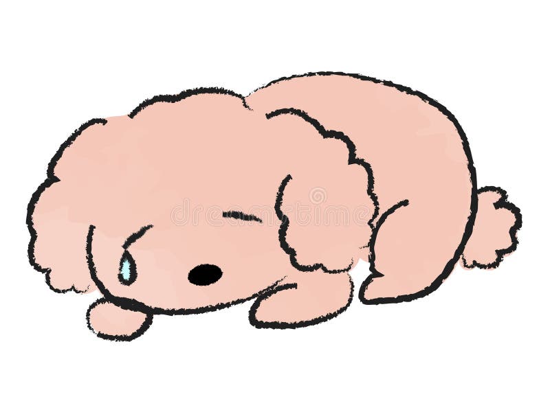 Poodle Crying Stock Illustrations – 10 Poodle Crying Stock ...