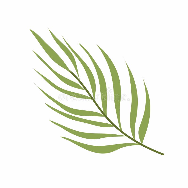 Palm Tree Branch in Flat Style. Decorative Palm Branch Stock Vector ...