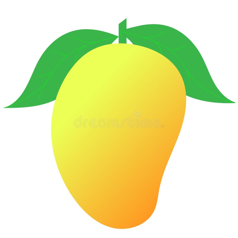 Mango Drawing Stock Illustrations – 7,736 Mango Drawing Stock ...