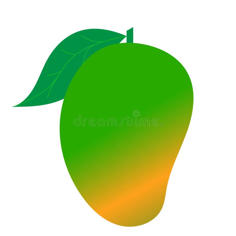 Raw Mango - Raw Food and Fruits - Vector Stock Illustration ...
