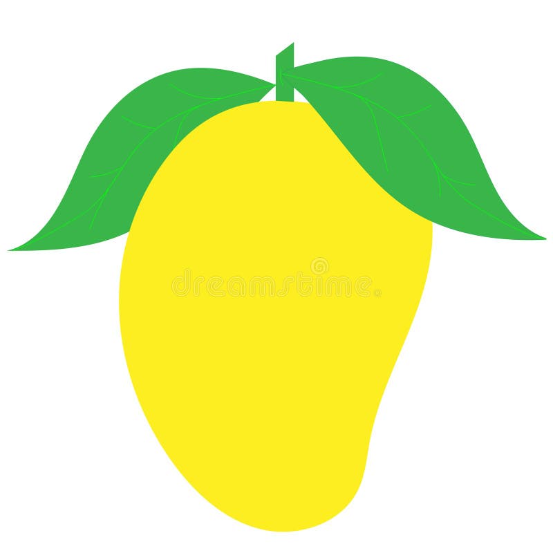 Yellow Mango - Mango Digital Drawing Stock Illustration - Illustration ...