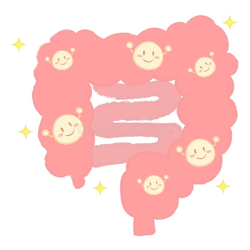 A Healthy Intestine with Good Bacteria, Handwritten Style Stock Vector ...