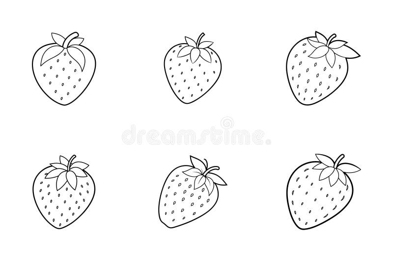 Lychee Outline Vector Stock Illustrations – 533 Lychee Outline Vector ...