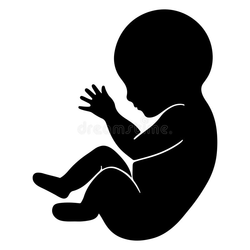 Fetus Icon. Human Newborn and Unborn Baby Silhouette. Miraculous ...