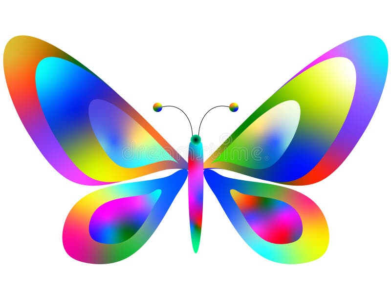 Vector of a Beautiful Butterfly - Insects Vector Stock Illustration ...