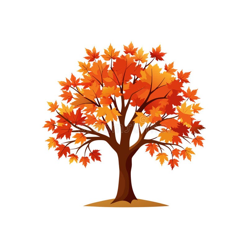 Autumn Maple Tree Vector Art with Colorful Leaves Stock Illustration ...