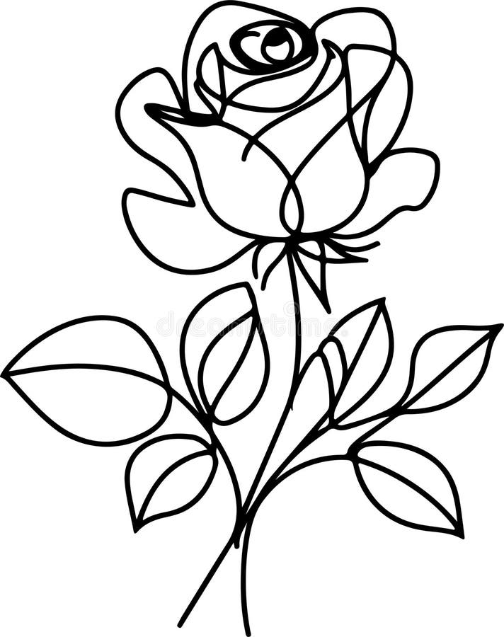 A Single Elegant Rose Vector Illustration Stock Vector - Illustration ...