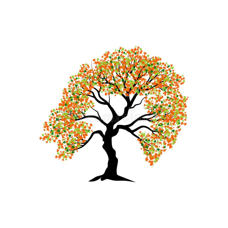 Autumn Maple Tree Vector Art with Colorful Leaves Stock Vector ...