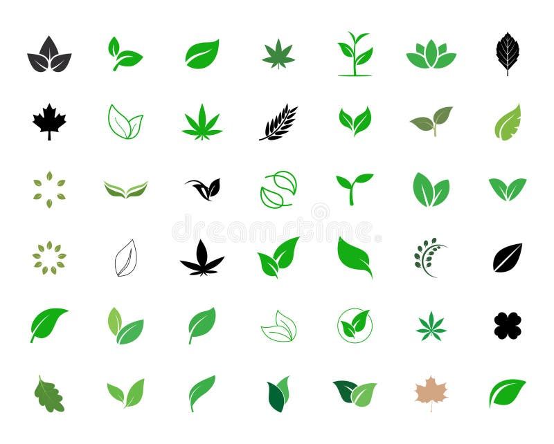 Collection of Leaf Icons or Symbols, Vector Editable File. Stock Vector ...