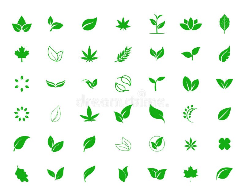 Collection of Leaf Icons or Symbols, Vector Editable File. Stock Vector ...