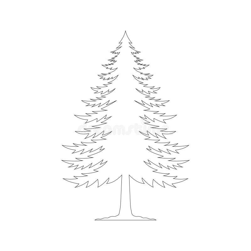Pine Tree Line Art Design, Pine Tree Outline Stock Illustration ...