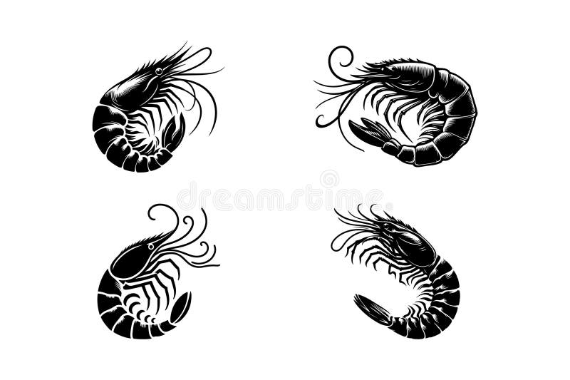 Set of Prawn Silhouette Vector Art Illustration Stock Vector ...