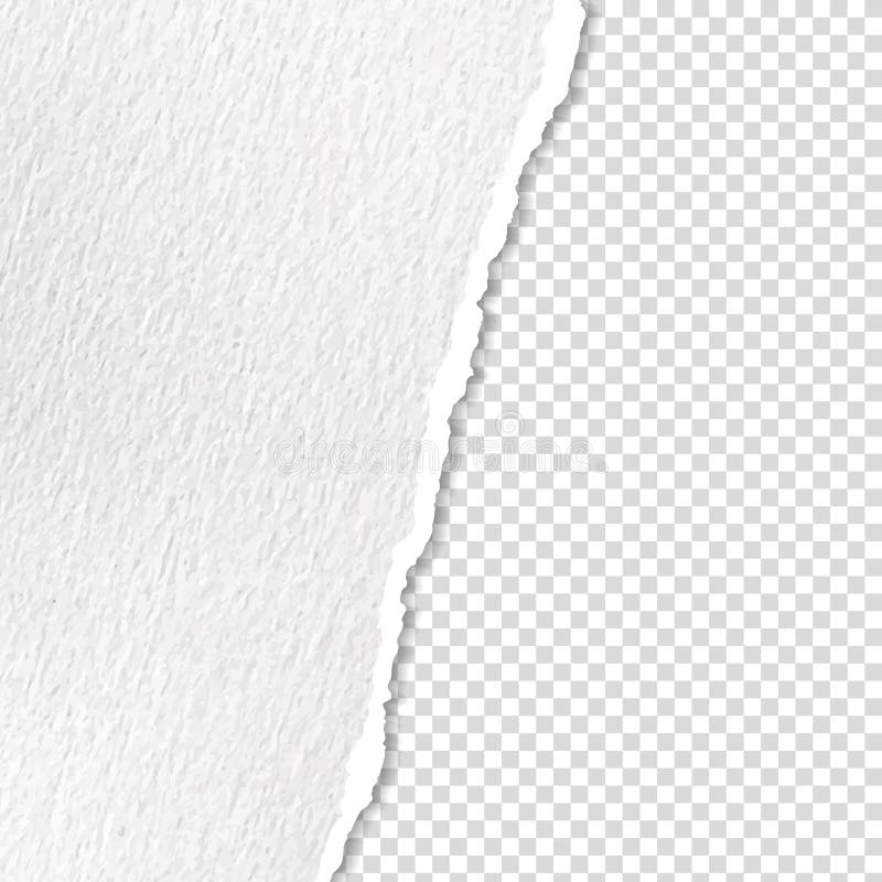 Torn Paper Transparent Background Stock Illustrations – 6,271 Torn ...